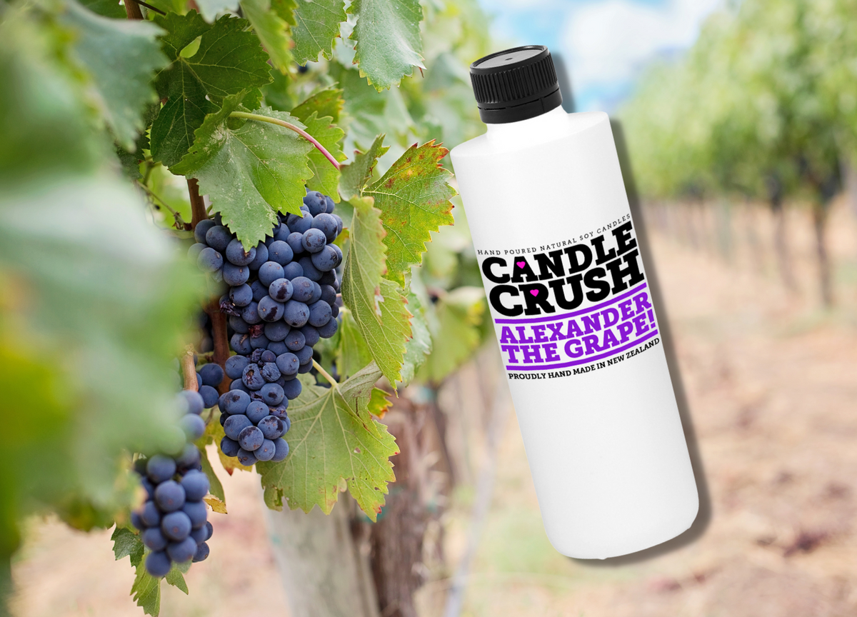 Alexander The Grape! Reed Diffuser Refill – Candle Crush